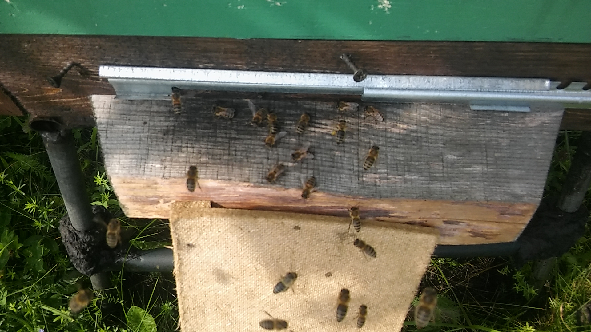 entrance ramp keypoints Keypoint Detection Dataset by Tech