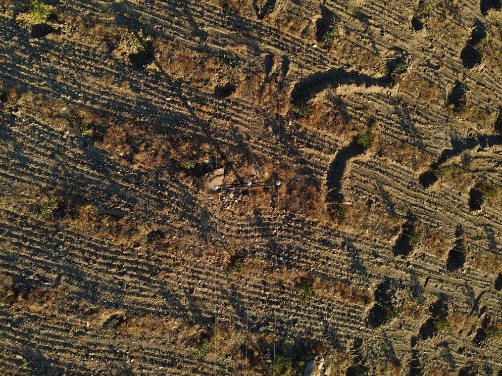 Power Line Pole Detection Object Detection Dataset By Visionflow