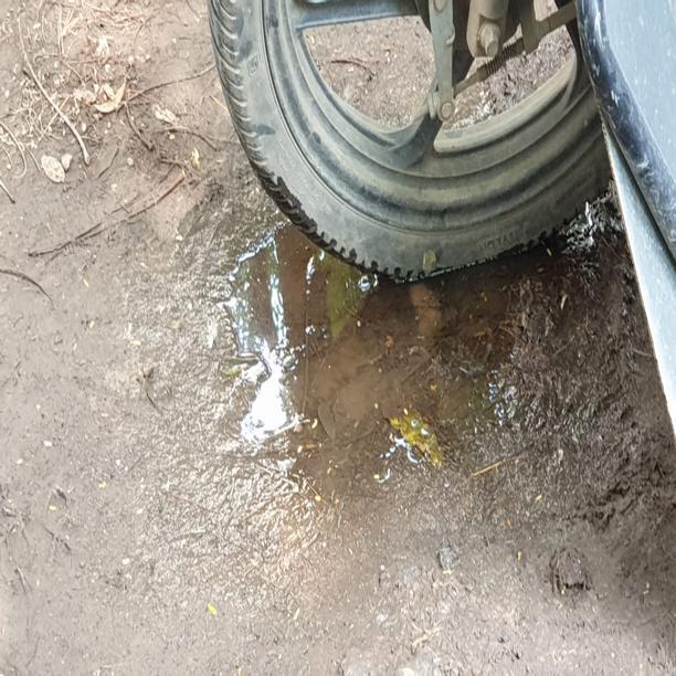 water Instance Segmentation Model by YINJIA HUANG