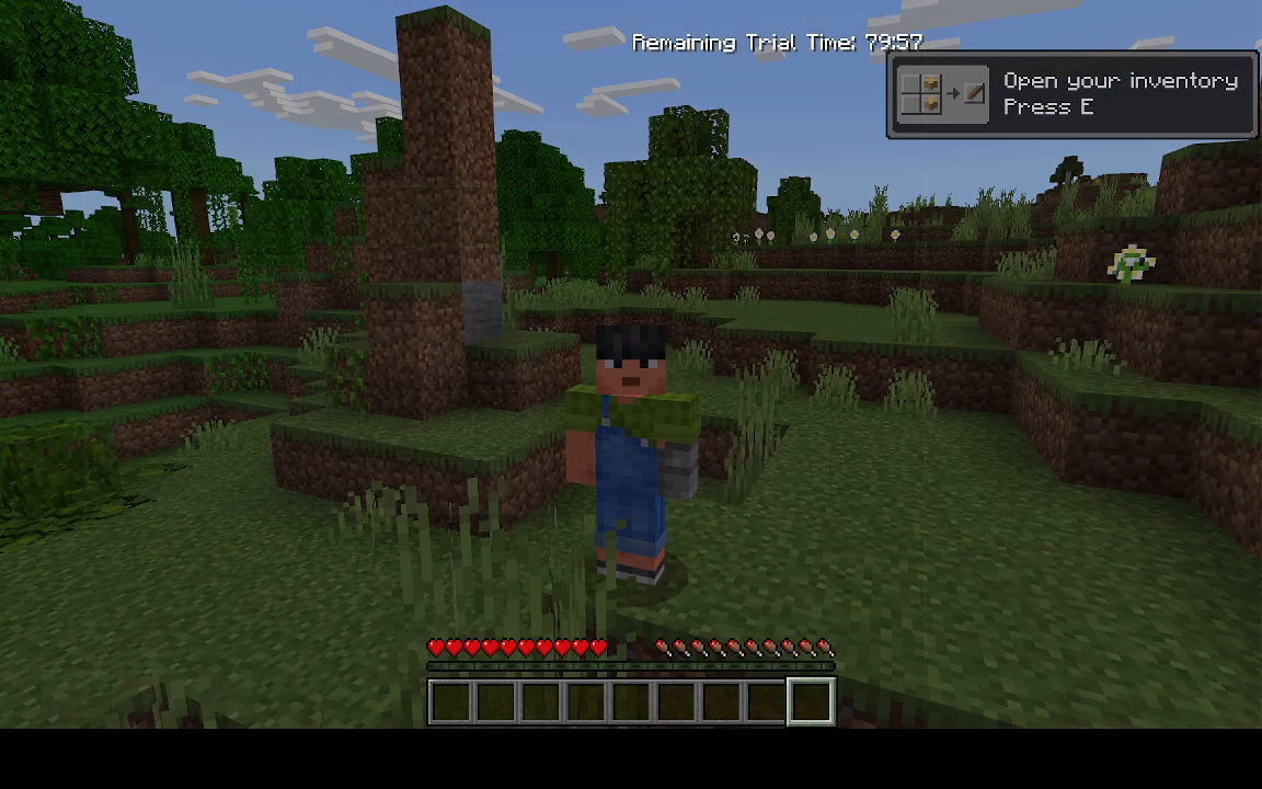 Minecraft Object Detection Dataset by MinecraftHelper