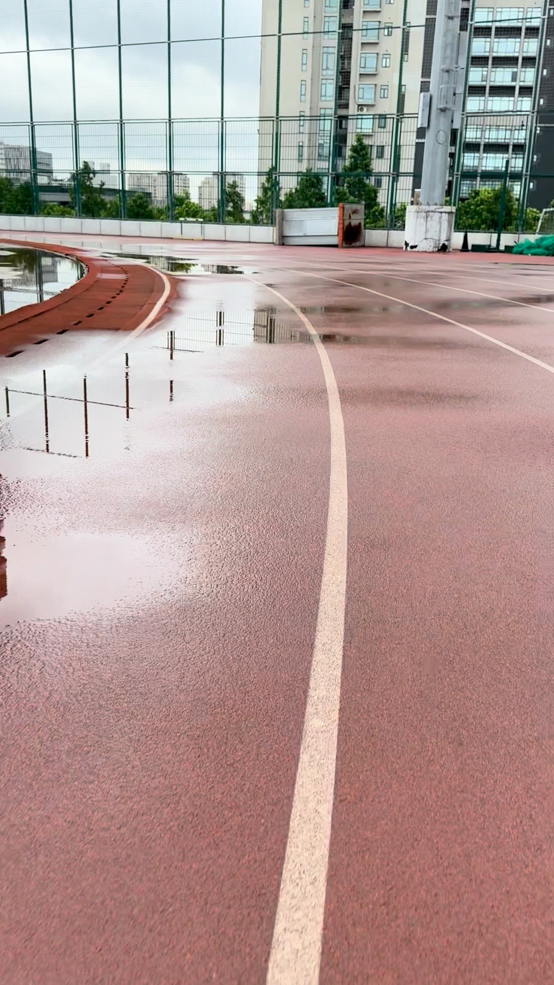 TrackLine Instance Segmentation Dataset by PaulLyuuu