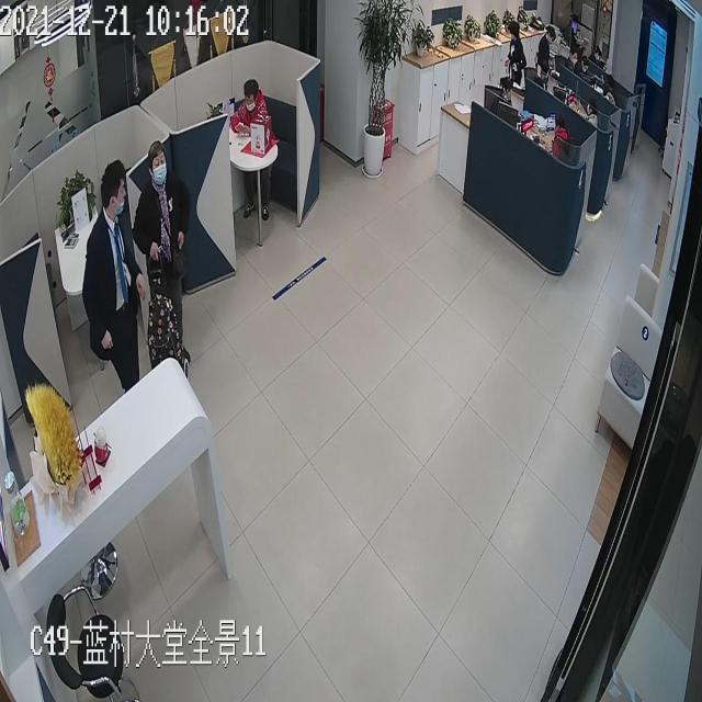 CCTV Object Detection Dataset by Binus University