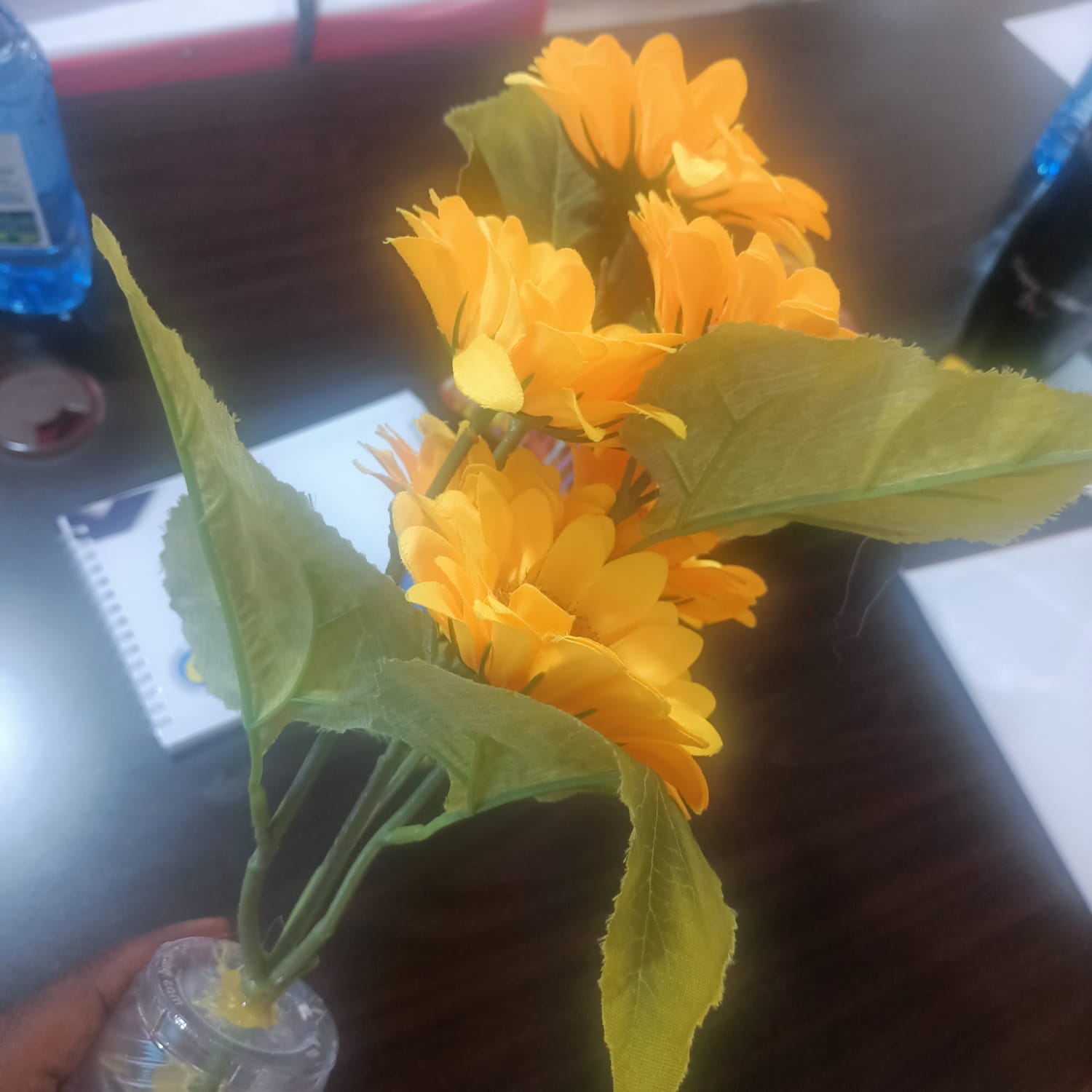 Sunflower Object Detection Dataset By Sunflower