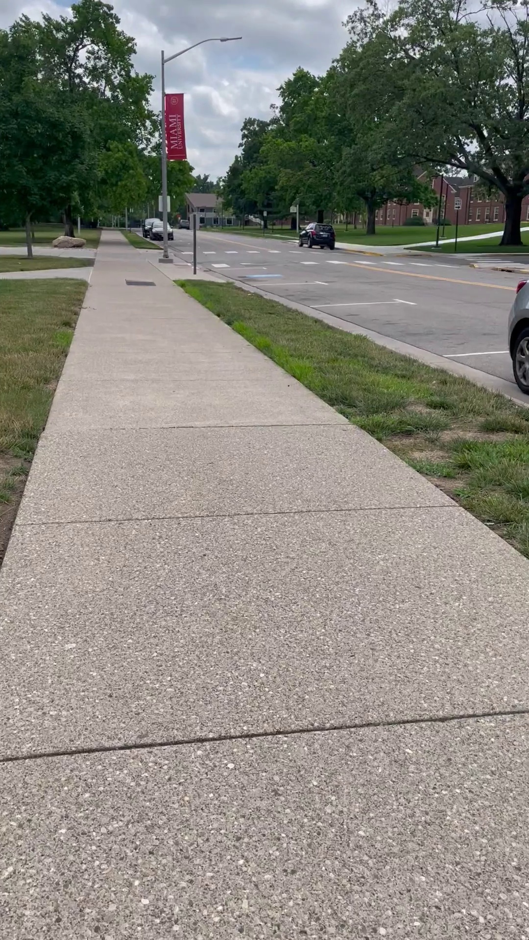 Crosswalk Data Object Detection Dataset And Pre Trained Model By Ece 484