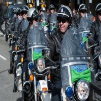 coco-person Object Detection Dataset by dataset