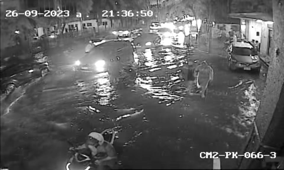 flood Semantic Segmentation Model by alumatngdetect