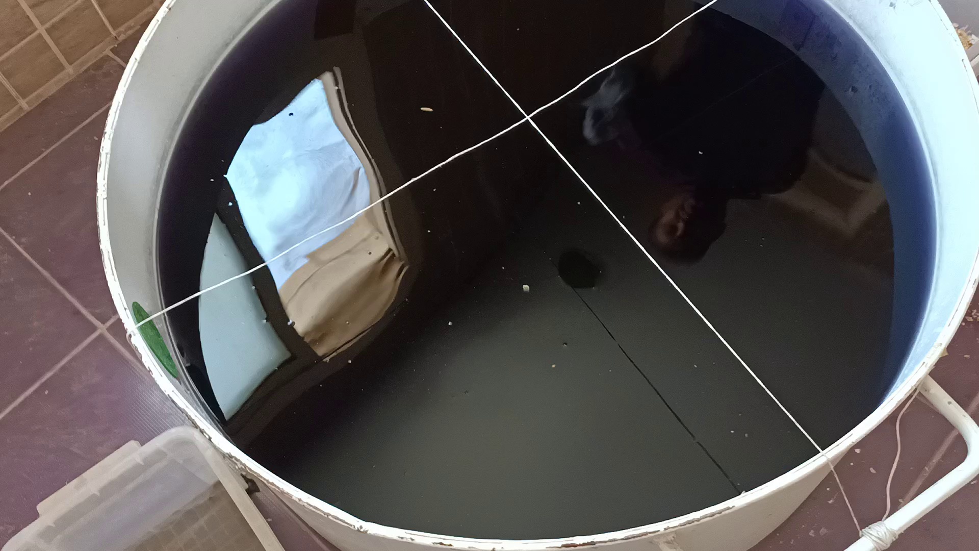 Rats Tracking Object Detection Dataset by ML