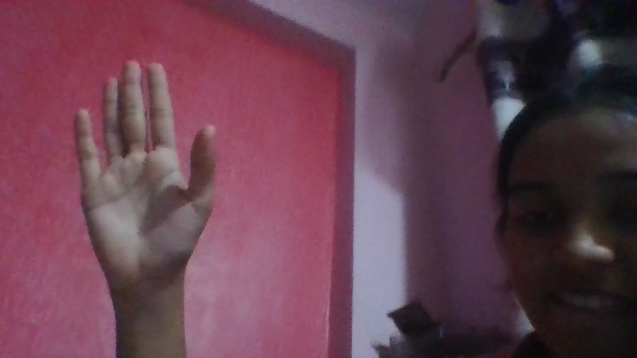 gesture Keypoint Detection Dataset and Pre-Trained Model by gesture