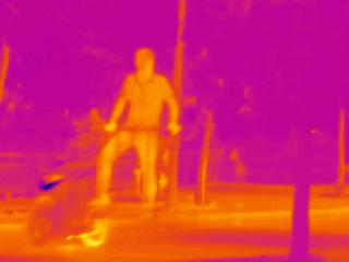 Datasets Object Detection Dataset and Pre-Trained Model by Images dataset