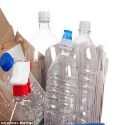 Waste Detection Object Detection Model by Waste Detection