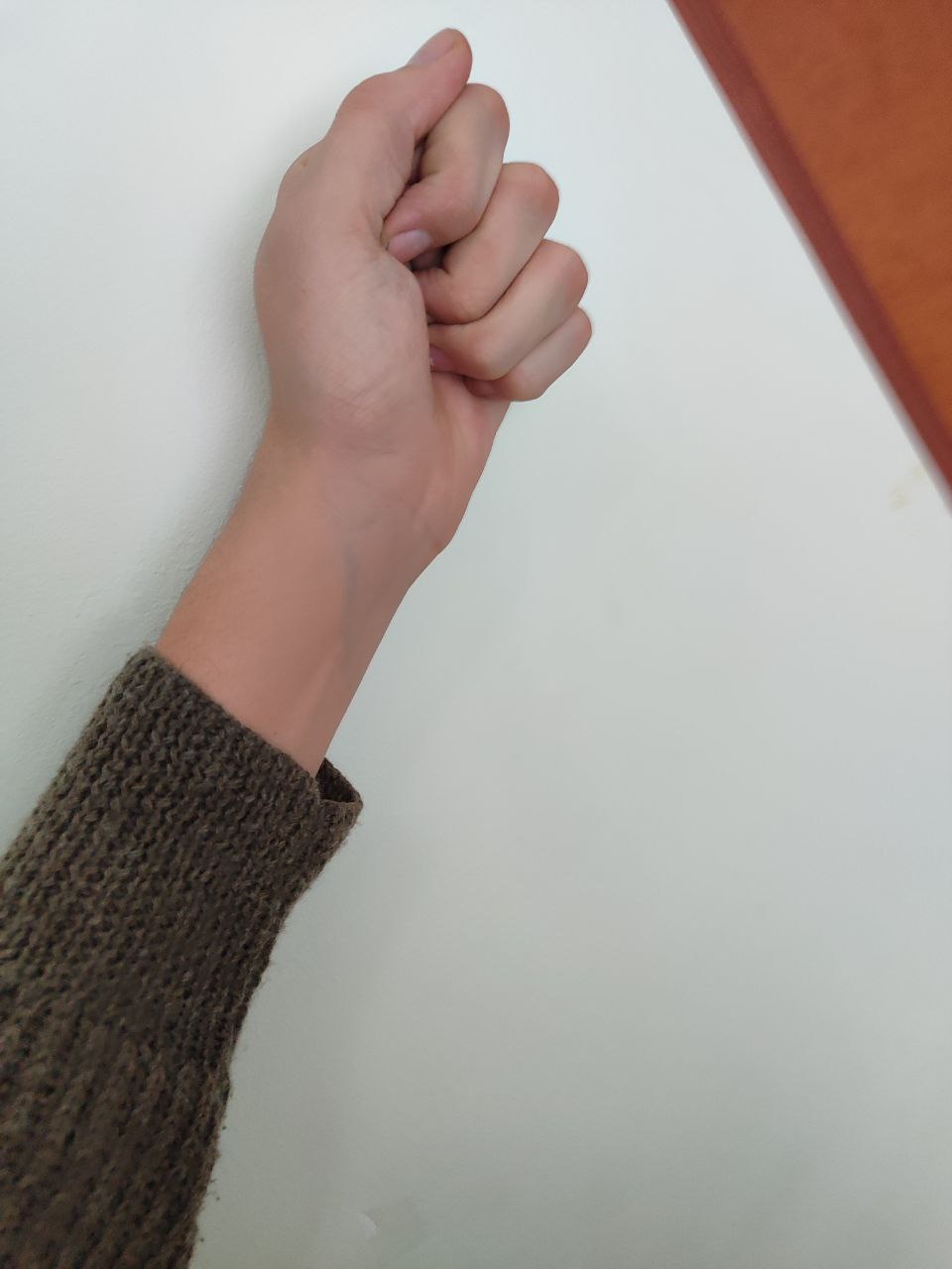 Hand 123 Instance Segmentation Dataset (v2, 2024-12-28 10:32am) by 12345678