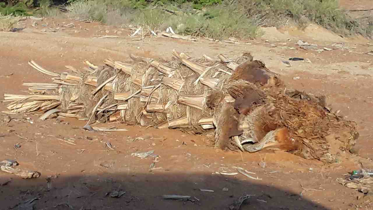 Merged Project 0 2 Object Detection Dataset By S3