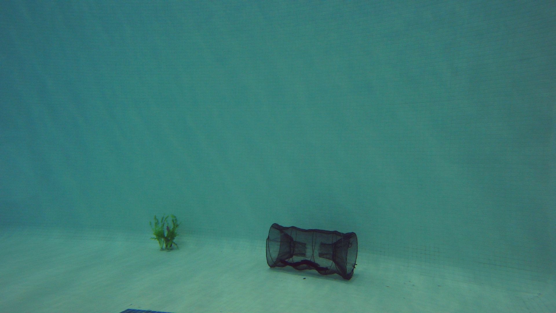 Underwaterdataset Roboflow Universe