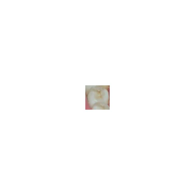 Update Final Project Object Detection Dataset By Balance Data