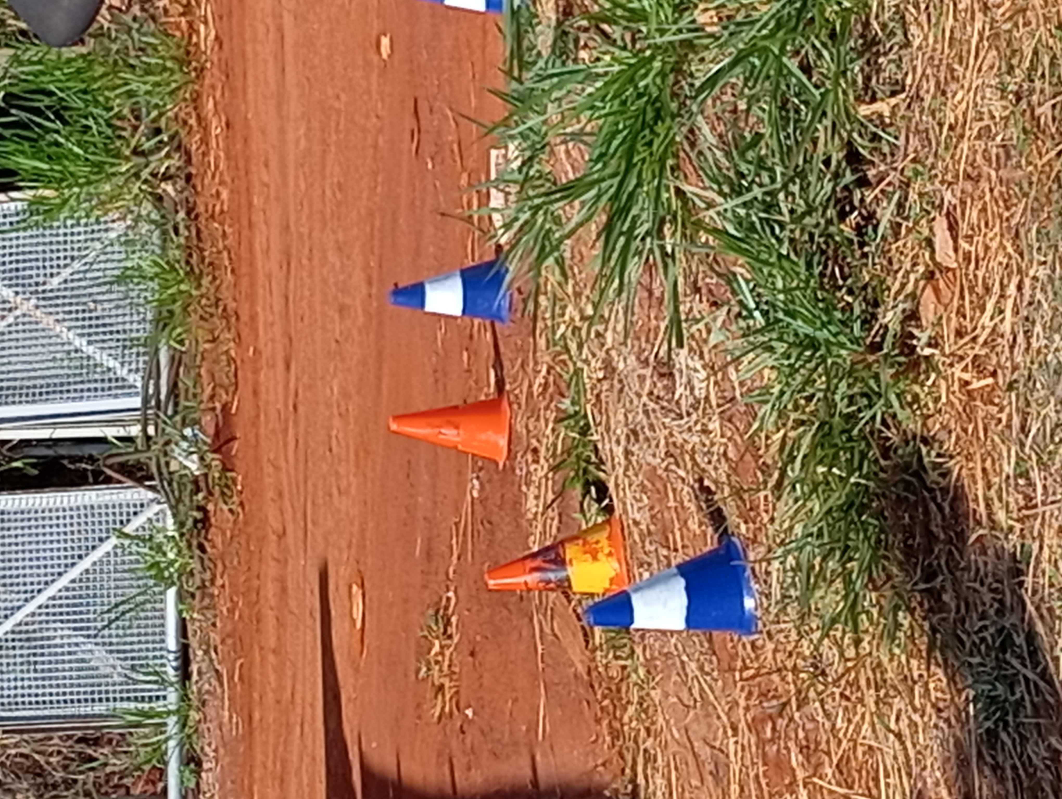 Cones Fsae Object Detection Model By Onboarding Perception