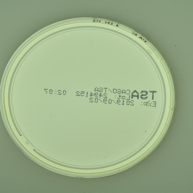 Fase Object Detection Dataset By Unitec