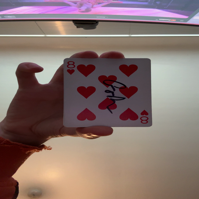Playing Cards Object Detection Dataset by Joshuas Workspace