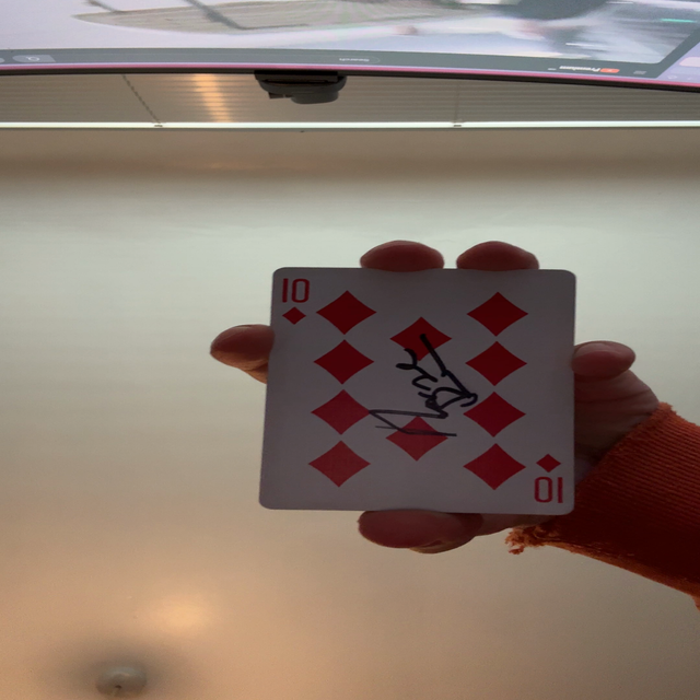 Playing Cards Instance Segmentation Dataset and Pre-Trained Model by Joshuas Workspace