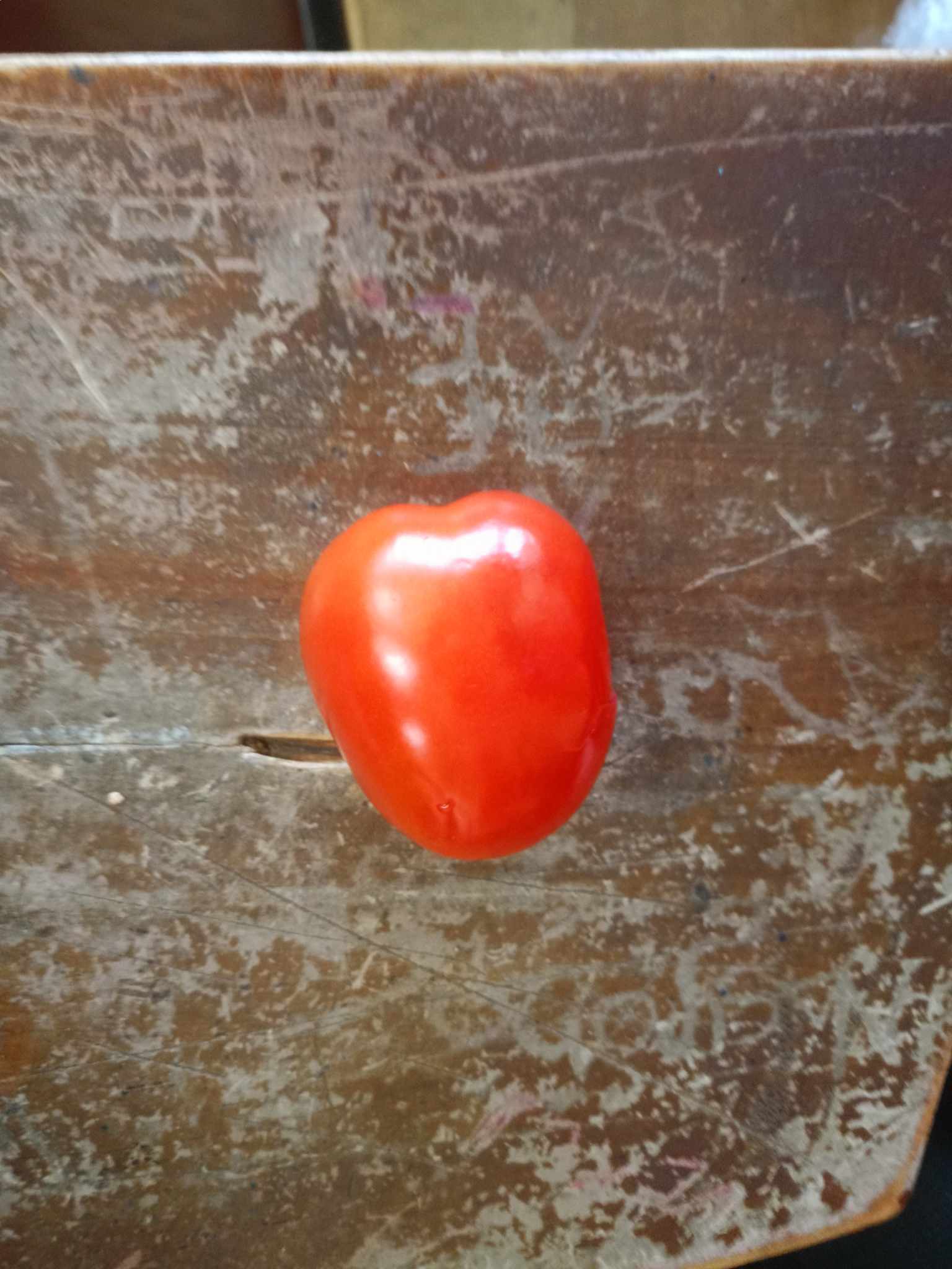 ROBOFLOW ACT 1 Object Detection Model by ROBOTICS AI