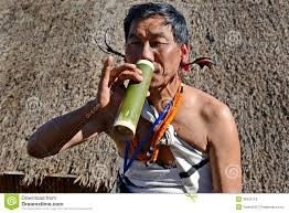 Activity Recognition Object Detection Dataset and Pre-Trained Model by hanyang university