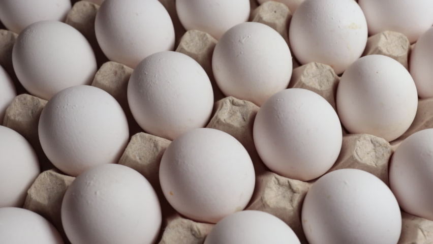 Egg grading Object Detection Dataset and Pre-Trained Model by Egg Grading