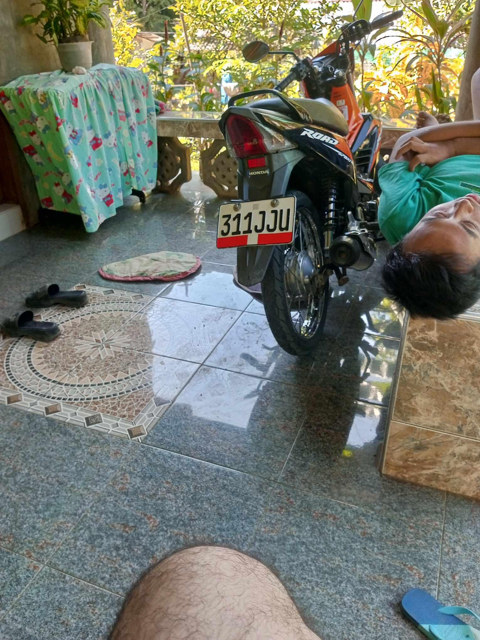 p2_ml Object Detection Dataset by Maria Loredo