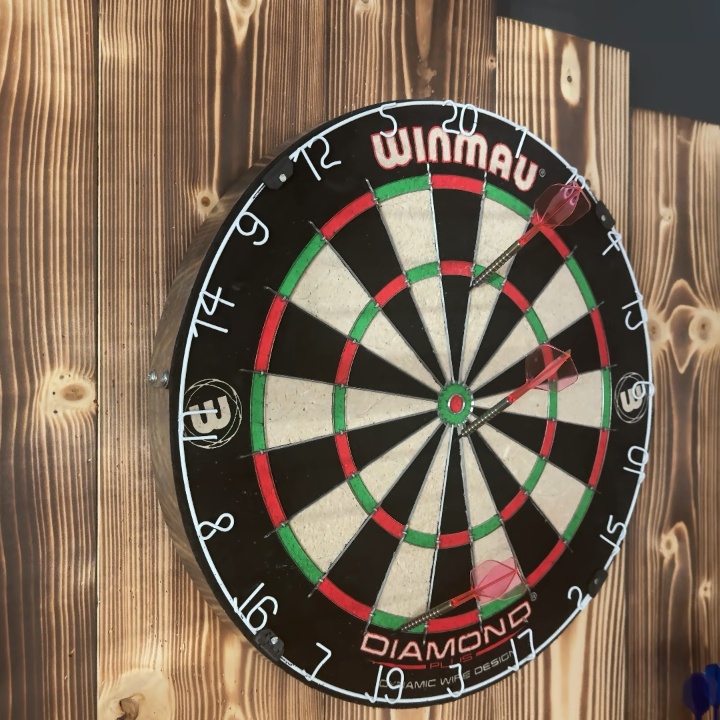 Dart Label Review Object Detection Model by Darts Detector