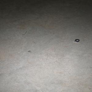 FOD Object Detection Dataset by airob