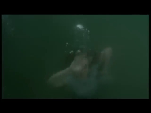 Drowning Detection Object Detection Dataset And Pre Trained Model By Ai