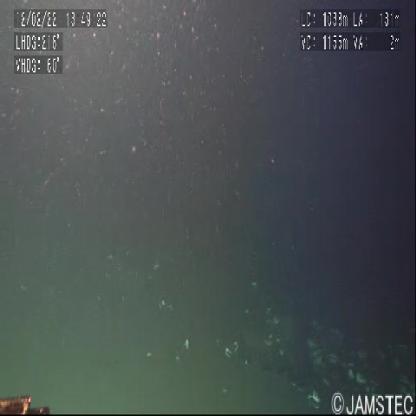 Underwater Object Detection Model by Underwater Dectection