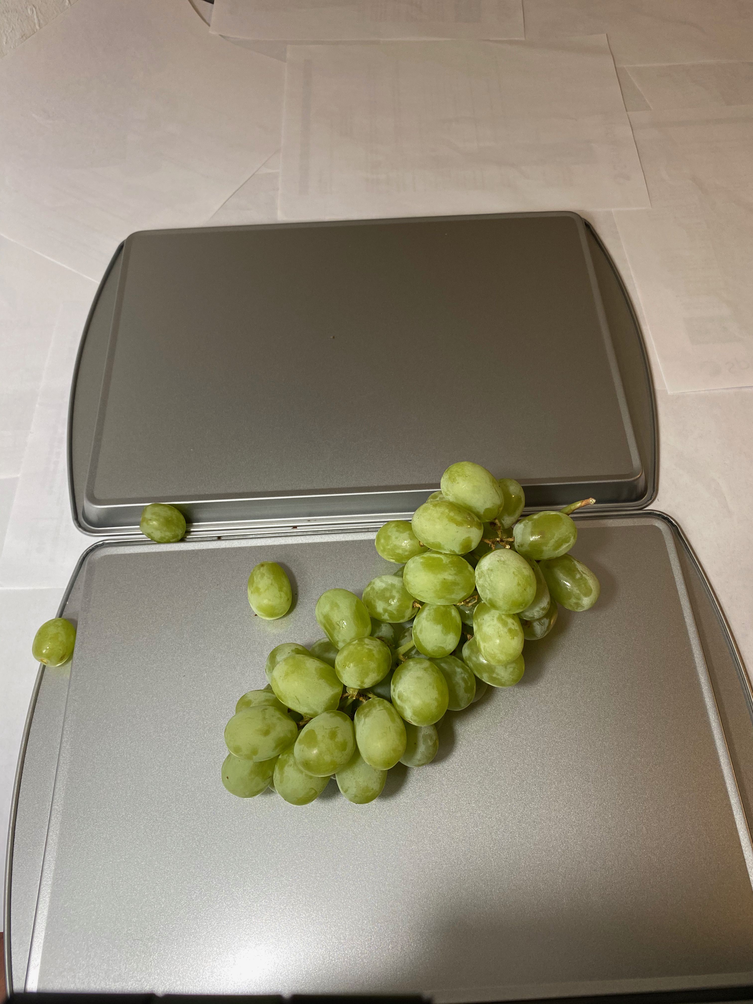 cs (cs-lymbd) - Roboflow Universe