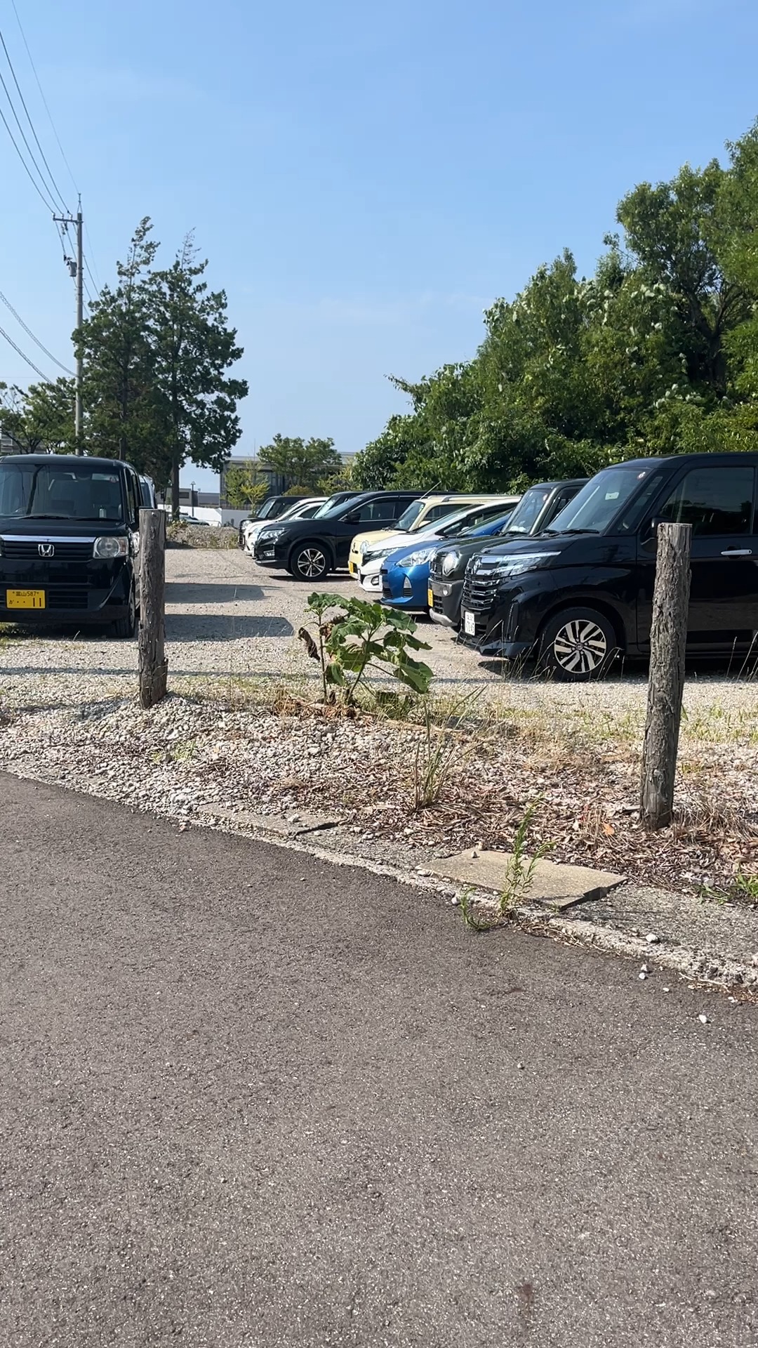 target_yolo Object Detection Dataset by testspace