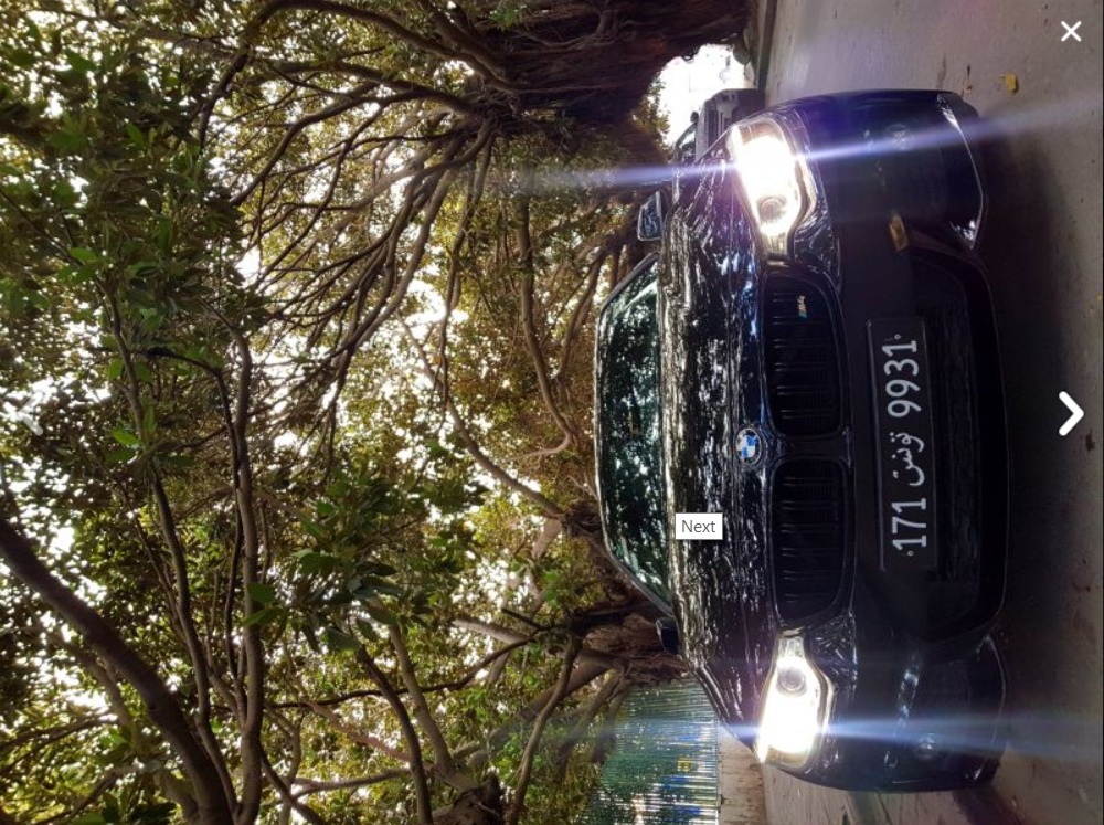 License detection Object Detection Dataset and Pre-Trained Model by PFE