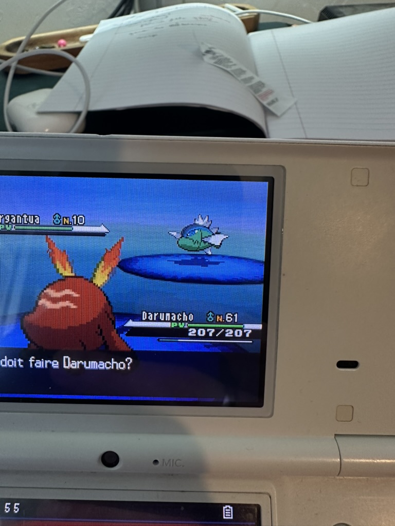 EasyDex Object Detection Dataset by EasyDex