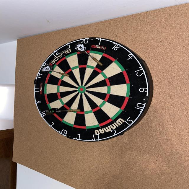 dart tip detection Instance Segmentation Dataset and Pre-Trained Model by PJATK