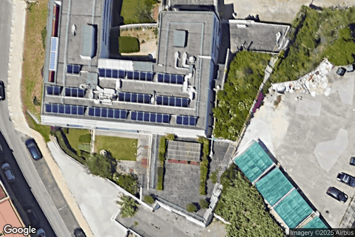 Weed Detection Object Detection Dataset And Pre Trained Model By Weed Targeting