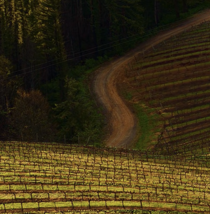 capstone-design-dataset Instance Segmentation Dataset by capstonedesign