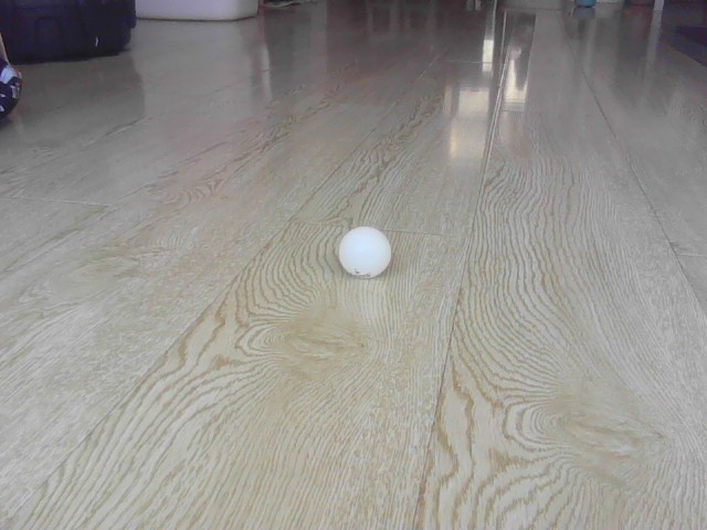 ACTUAL BALLS Object Detection Dataset by workspace