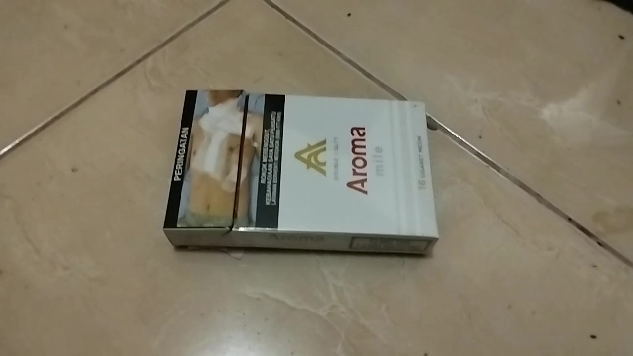 My First Project Object Detection Dataset and Pre-Trained Model by Robot Sampah