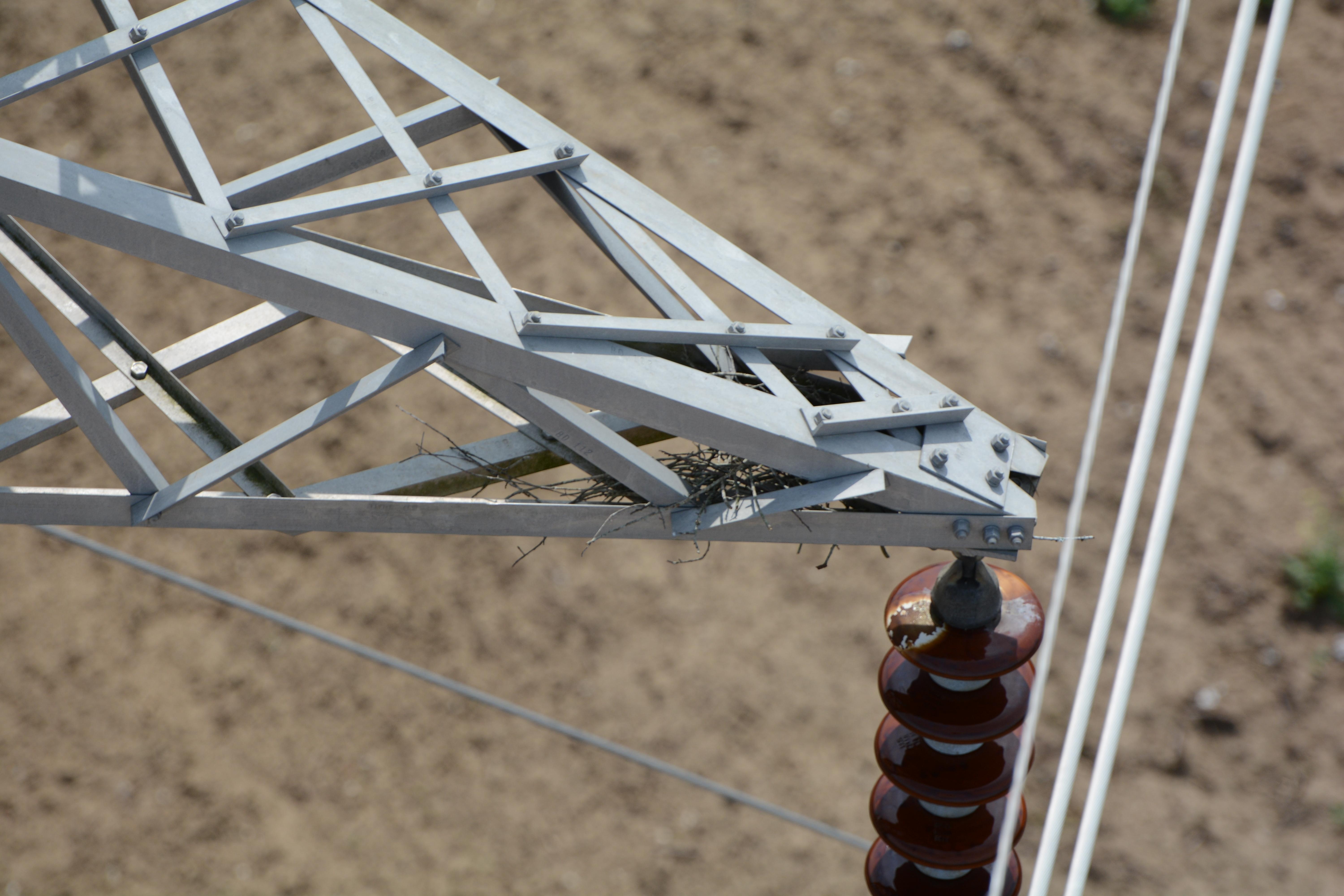 Insulator Dataset Object Detection Dataset By Samiksha Gadhave