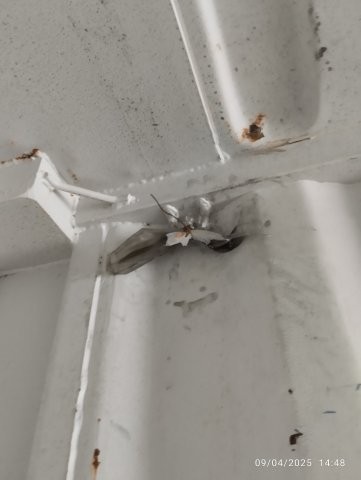 EOR-drive Instance Segmentation Dataset by RoboCount