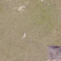 Forest AI - Roboflow Universe