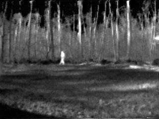 Thermal humans Object Detection Dataset by Thermal human detection