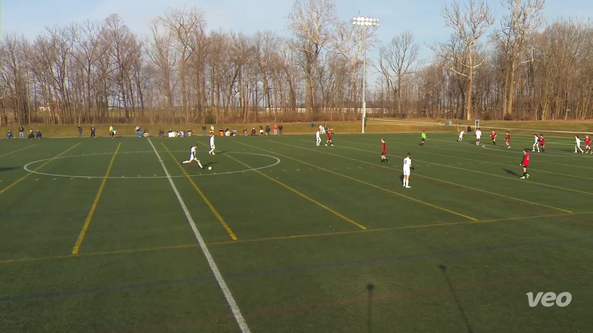 veo_detection Object Detection Dataset and Pre-Trained Model by CV workspace