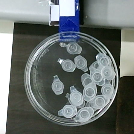 230310_d2_cropped_overlapping_layers Instance Segmentation Dataset by School