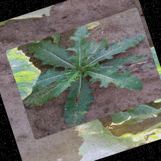 plant-detection Instance Segmentation Model by Makar Baderko