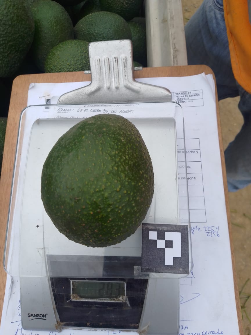 Project Analytics 2 Object Detection Dataset by Odriakano