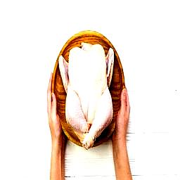 EGG CLASSIFICATION Classification Dataset by FP ML