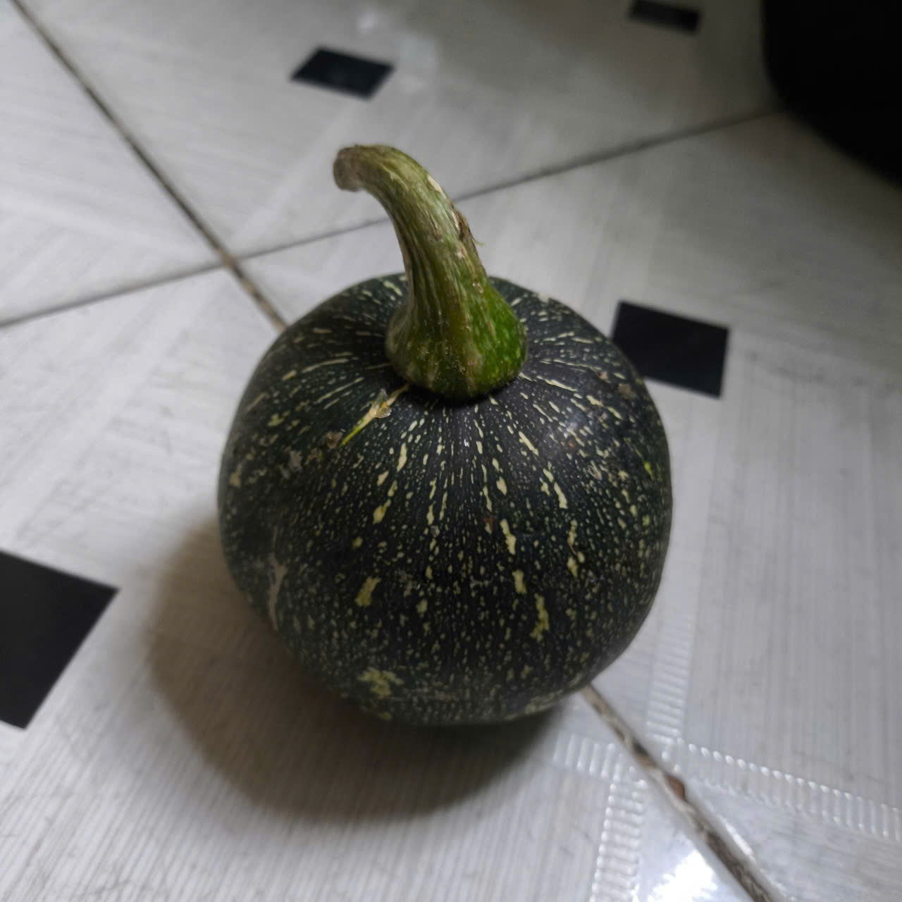 loc project - Roboflow Universe