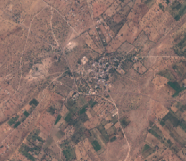 Project Instance Segmentation Model by project